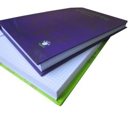 REGISTRE 2 MAINS POT 192 PAGES A4 5X5 SMART